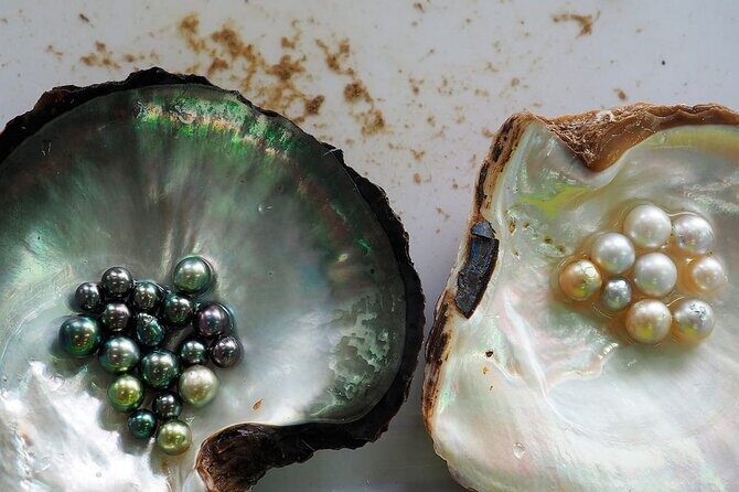 Tour Around Phu Quoc island By AC Minibuses - Who Will Love This Tour?