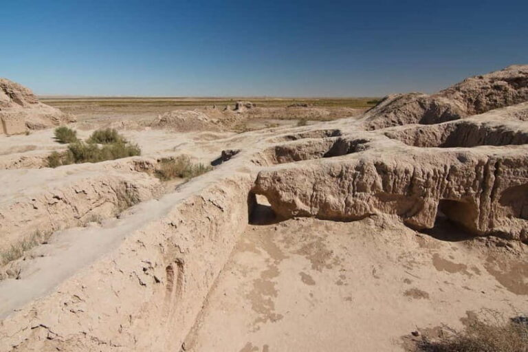 Tour around the Ancient fortresses of Khorezm - What’s Included & What’s Not