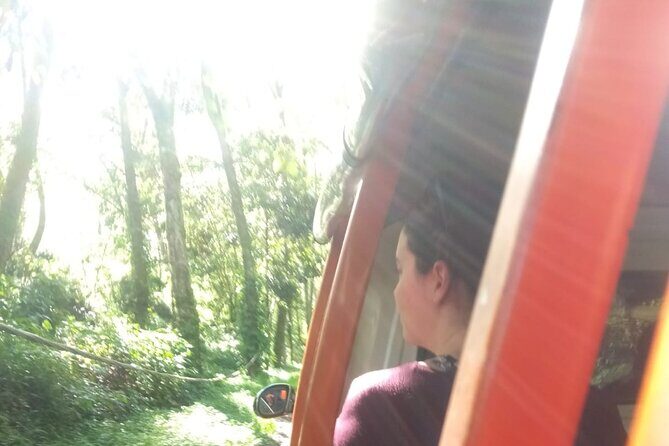 Tour Guide Bandung Private Car All In White Crater, Hot Spring - Rengganis Hot Spring: Soaking in Nature’s Sauna