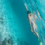 Tour islands Marietas Snorkeling and Nopalera Beach - Who Should Consider This Tour?