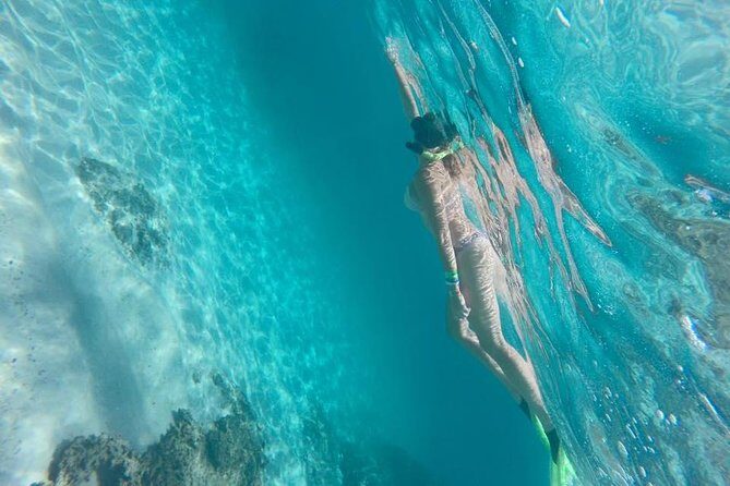 Tour islands Marietas Snorkeling and Nopalera Beach - Who Should Consider This Tour?