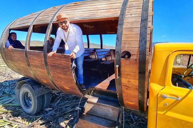 Tour Monte Albán, Hierve el agua, Teotitlán Del Valle and Mezcal - Mercado Tlacolula: Tasting Oaxacas Flavors