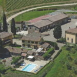Tour Tasting & platter at an Organic Winery - Panzano in Chianti - What Makes This Tour Stand Out?