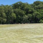 Tour to Celestún - The Value and Who It’s Best For