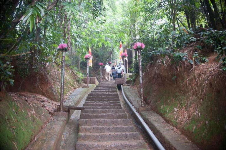 Tour to Duong lam village, Thay pagoda and Tay phuong pagoda - What Travelers Say