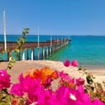 Tour to La Paz Playa Balandra Malecón and Todos Santos - Practical Considerations