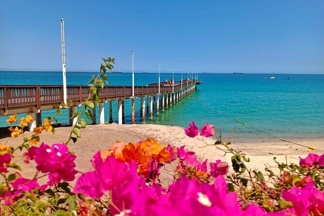 Tour to La Paz Playa Balandra Malecón and Todos Santos - Practical Considerations