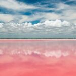 Tour to Las Coloradas Pink Waters and Boat Ride in Rio Lagartos with Lunch. - The Sum Up: Is This Tour Worth It?