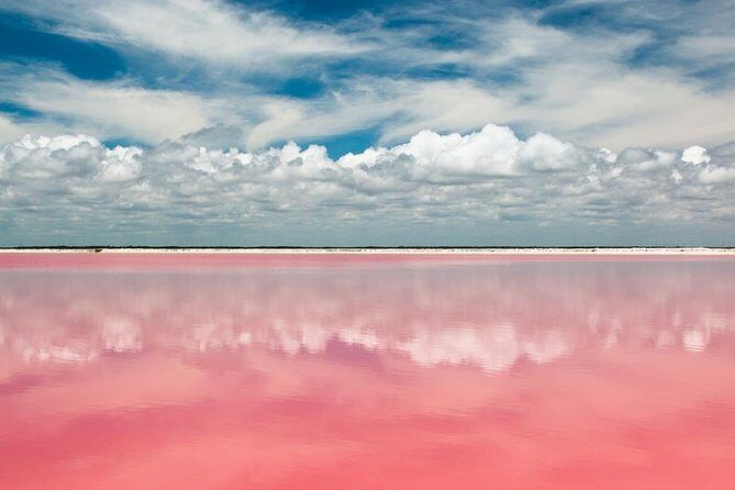 Tour to Las Coloradas Pink Waters and Boat Ride in Rio Lagartos with Lunch. - The Sum Up: Is This Tour Worth It?