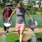 Tra Que Village Cycling And Farming - The Itinerary in Detail: What to Expect from Each Stop