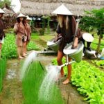 Tra Que Village Vegetable Farm Experience by Bike - Why This Tour Offers Great Value