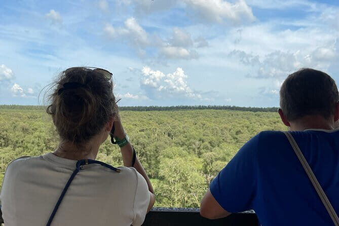 Tra Su Cajuput Forest An Cairang Floating Market - The Value of the Experience