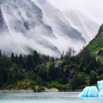 Tracy Arm Fjord and Glacier Explorer from Juneau - Breaking Down the Experience: What Youll See and Feel