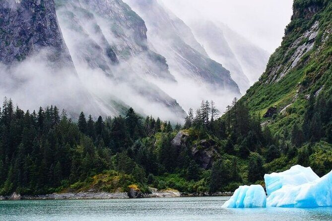 Tracy Arm Fjord and Glacier Explorer from Juneau - Breaking Down the Experience: What Youll See and Feel
