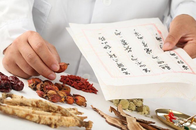 Traditional 2-Hour Chinese Medicine Lesson in Shanghai - Key Points