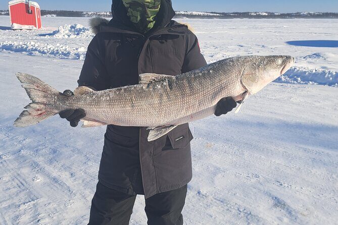 Traditional Ice Fishing with Net Pull and Lunch - Summary
