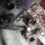 Traditional Newari Repousse Art Workshop at Patan-Full Day - What to Expect During the Workshop