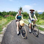 Traditional Village Bicycle Tour at Yogyakarta with Transfer - Setting the Scene: What to Expect from the Tour
