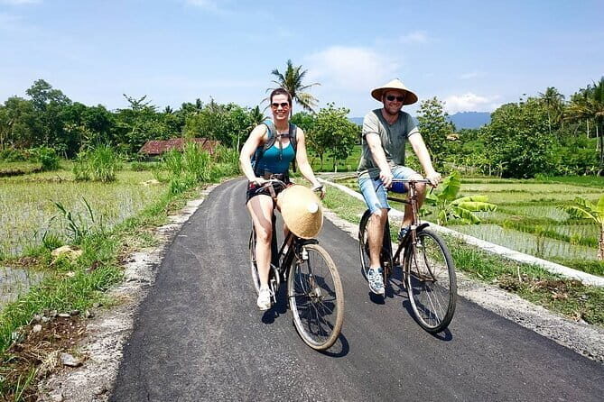 Traditional Village Bicycle Tour at Yogyakarta with Transfer - Setting the Scene: What to Expect from the Tour