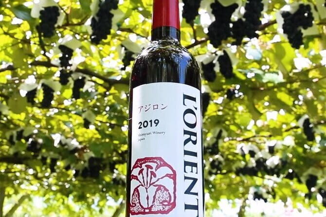 Train and Taxi Grape Temple and Winery Tour in Yamanashi - Final Words: Is This Tour Right for You?