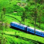 Train from Kandy to Colombo - Final Thoughts: Is It Worth It?