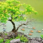 Trang An Bai Dinh 1 Day Tour From Hanoi - Authentic Experiences & Authenticity Concerns