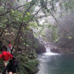 Transfer from Hue to Da Nang or Hoi An via Bach Ma National Park - Who Is This Tour Best For?