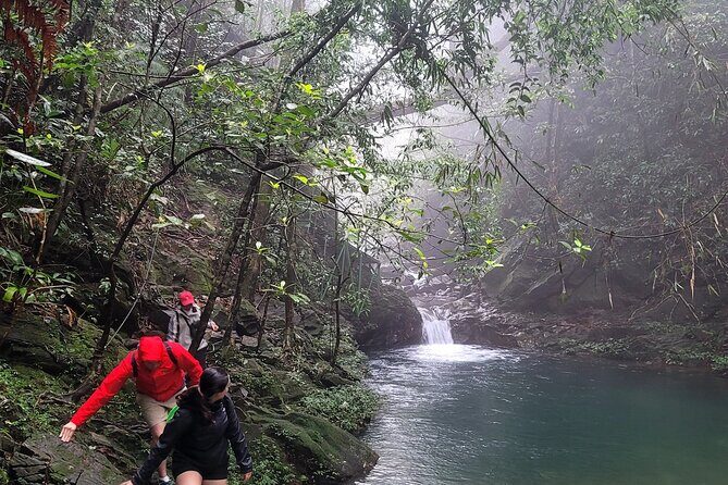 Transfer from Hue to Da Nang or Hoi An via Bach Ma National Park - Who Is This Tour Best For?