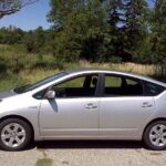 Transfer service to Terelj national park - What to Expect During Your Journey