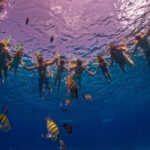 Transparent Boat Tour in Cozumel: See Marine Life Up Close - Snorkeling at Lego’s Reef