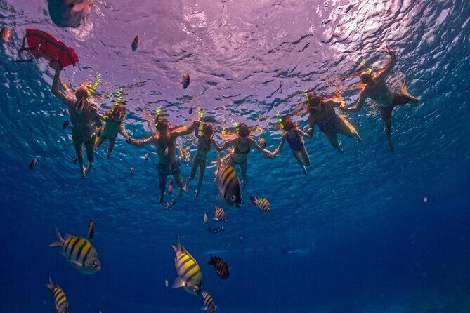Transparent Boat Tour in Cozumel: See Marine Life Up Close - Snorkeling at Lego’s Reef