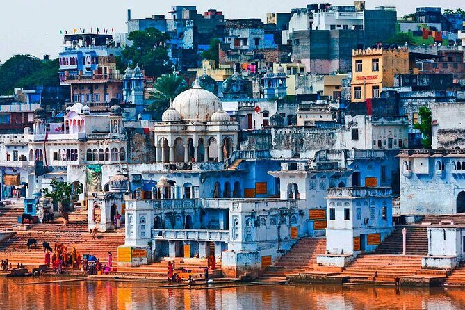Travel From Jaipur to Udaipur Via Pushkar and Ajmer - What We Think About the Value