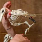 Treasure Island Escape Room Experience in Avondale - FAQ