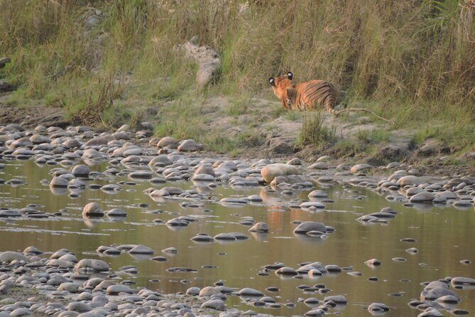 Tree House stay in Bardia National Park || 1 Night 2 Days - Frequently Asked Questions (FAQs)