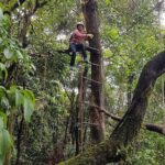 Tree Top Adventure - The Experience: From Start to Finish