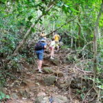 Trek Cat Ba National Park, Viet Hai Village, Kayak in Lan Ha Bay - Authentic Experiences and Considerations