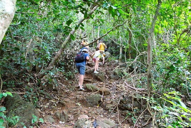 Trek Cat Ba National Park, Viet Hai Village, Kayak in Lan Ha Bay - Authentic Experiences and Considerations