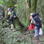 Trek On Langbian Mountain - Who Should Book This Tour?