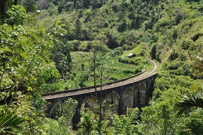 Trek to Little Adam's Peak and Nine Arches Bridge In Ella - The Highlights of the Tour