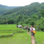 Trek to Tad Sae Waterfalls, Local Village - What Past Travelers Say