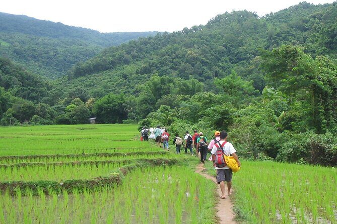 Trek to Tad Sae Waterfalls, Local Village - What Past Travelers Say
