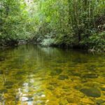 Trekking and Bird Watching in Kanneliya Rain Forest - Why the Tour Offers Good Value