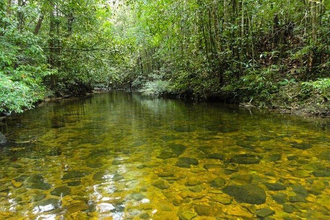 Trekking and Bird Watching in Kanneliya Rain Forest - Why the Tour Offers Good Value