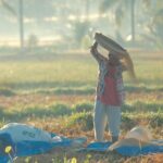 Trekking and Sightseeing tour with lunch - The Experience in Context: What Travelers Are Saying