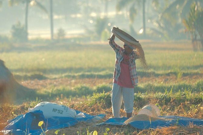 Trekking and Sightseeing tour with lunch - The Experience in Context: What Travelers Are Saying