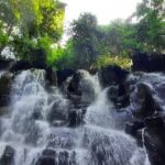 Trekking and Tegallalang Rice Terace Field Including Cascade Waterfall Tour - What’s Included and What You’ll Need to Budget For