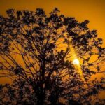 Trekking Guide in Kathmandu - Practical Details and Tips