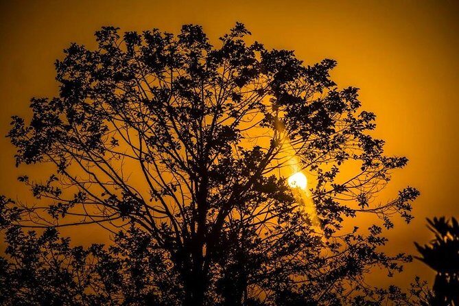 Trekking Guide in Kathmandu - Practical Details and Tips