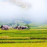 Trekking In Mu Cang Chai 3 Days - Authentic Experiences and Traveler Insights