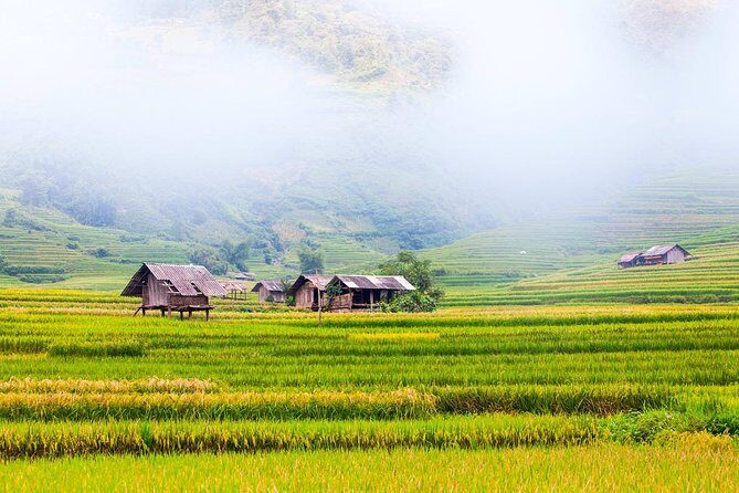 Trekking In Mu Cang Chai 3 Days - Authentic Experiences and Traveler Insights